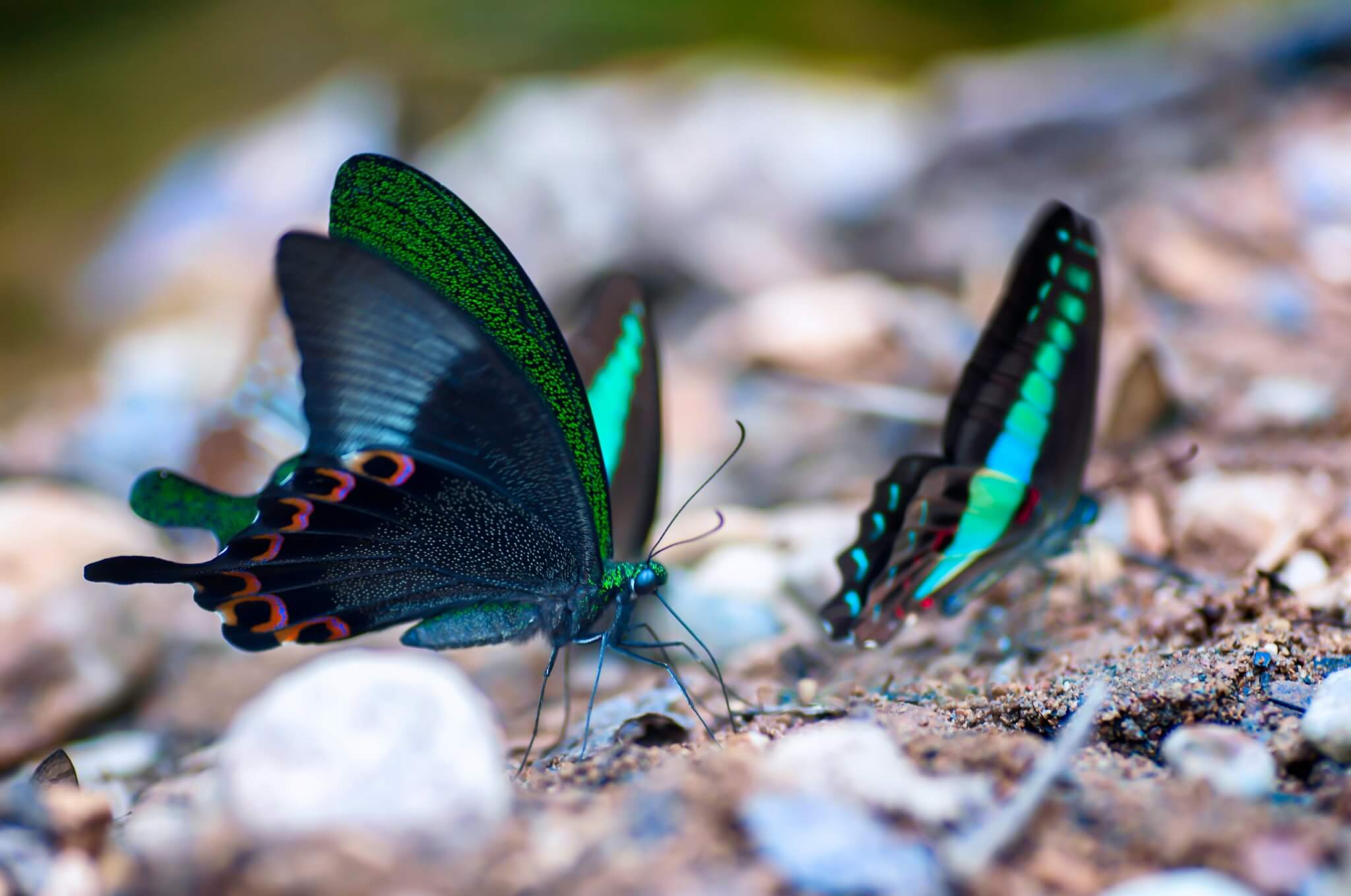 Why Work with Me? — Unstruck Sanctuary